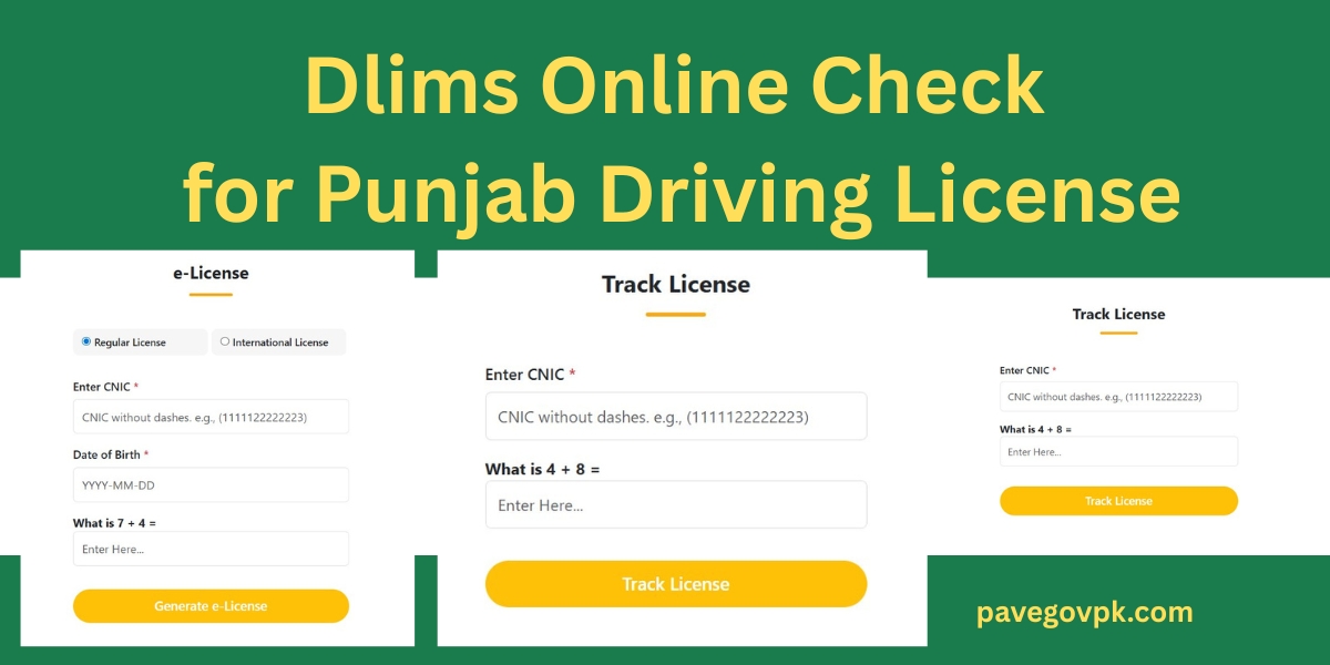 Dlims Online Check for Punjab Driving License and Track Application